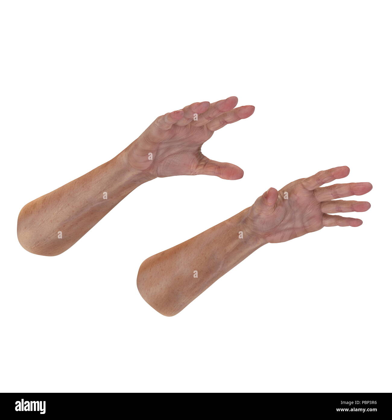 Senior hands on a white. 3D illustration Stock Photo - Alamy