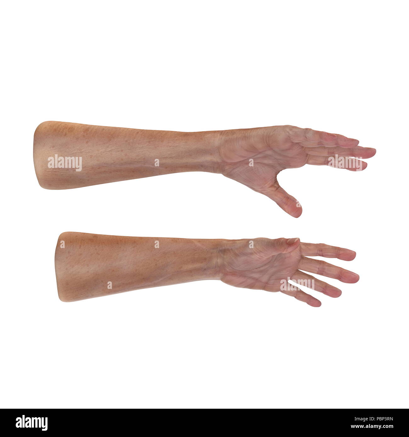 Senior hands on a white. 3D illustration Stock Photo - Alamy