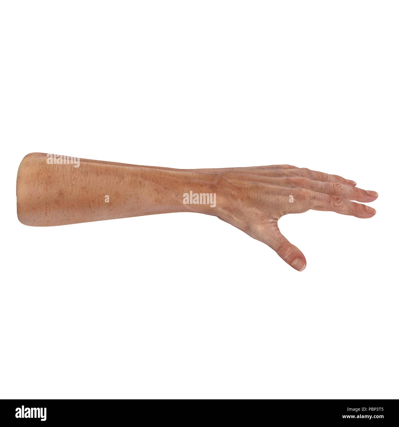 Senior hands on a white. 3D illustration Stock Photo - Alamy