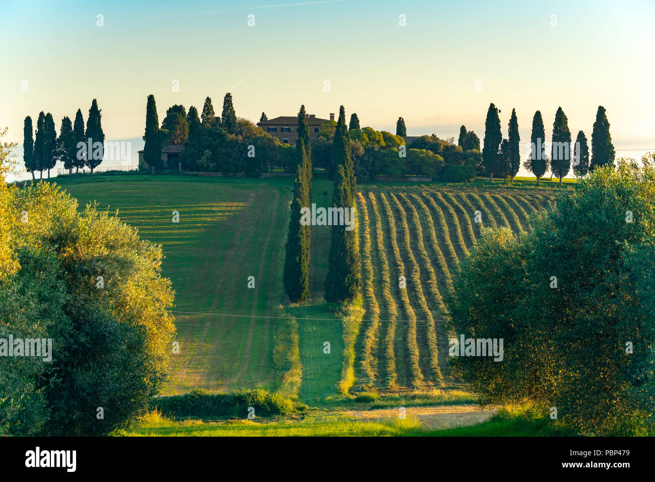 Typical italian country scene hi-res stock photography and images - Alamy
