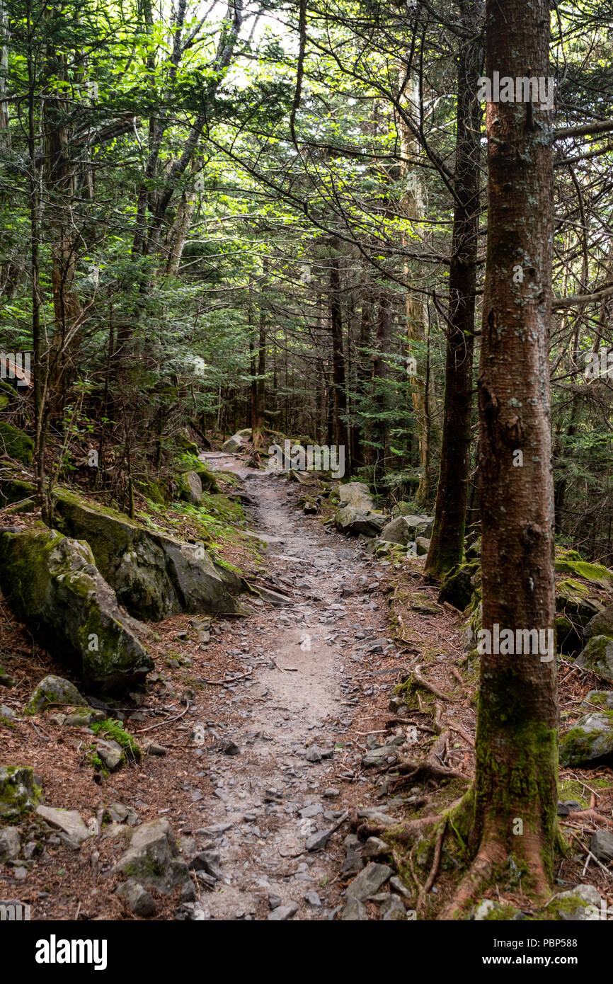 Great smoky mountains outdoor sports hi-res stock photography and ...