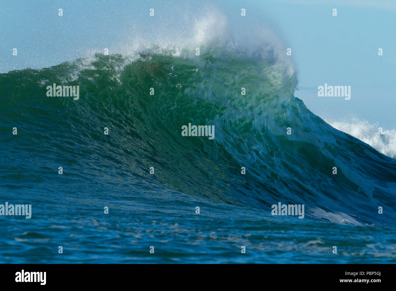 Indian Ocean Tsunami Drawback