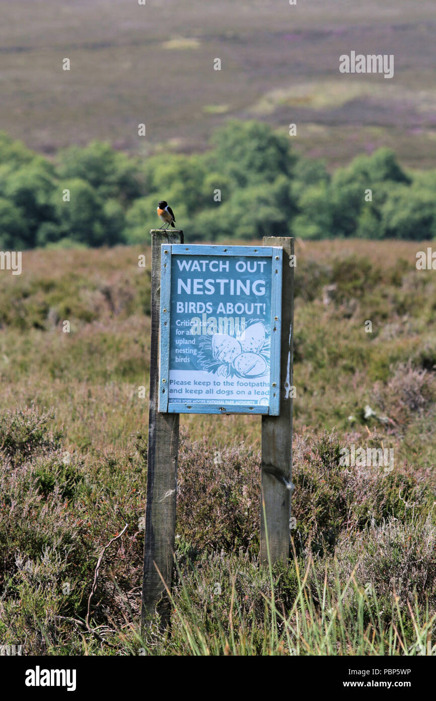 Birds nesting warning sign on hi-res stock photography and images - Alamy