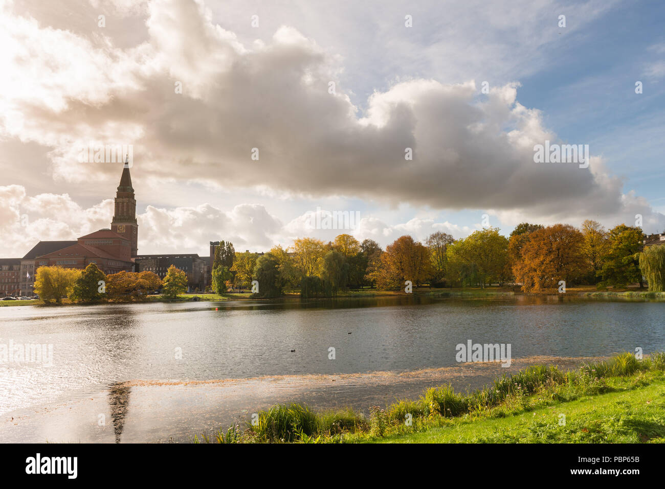 City Hall with its tower, Kiel, capital of Schleswig-Holstein, Germany ...