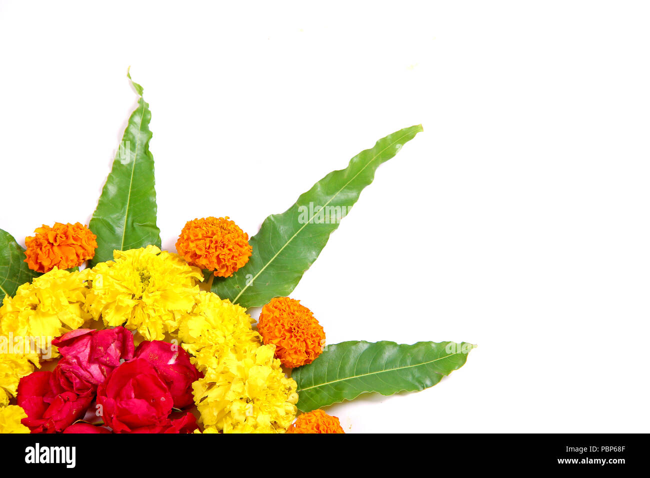 marigold flower design Stock Photo - Alamy