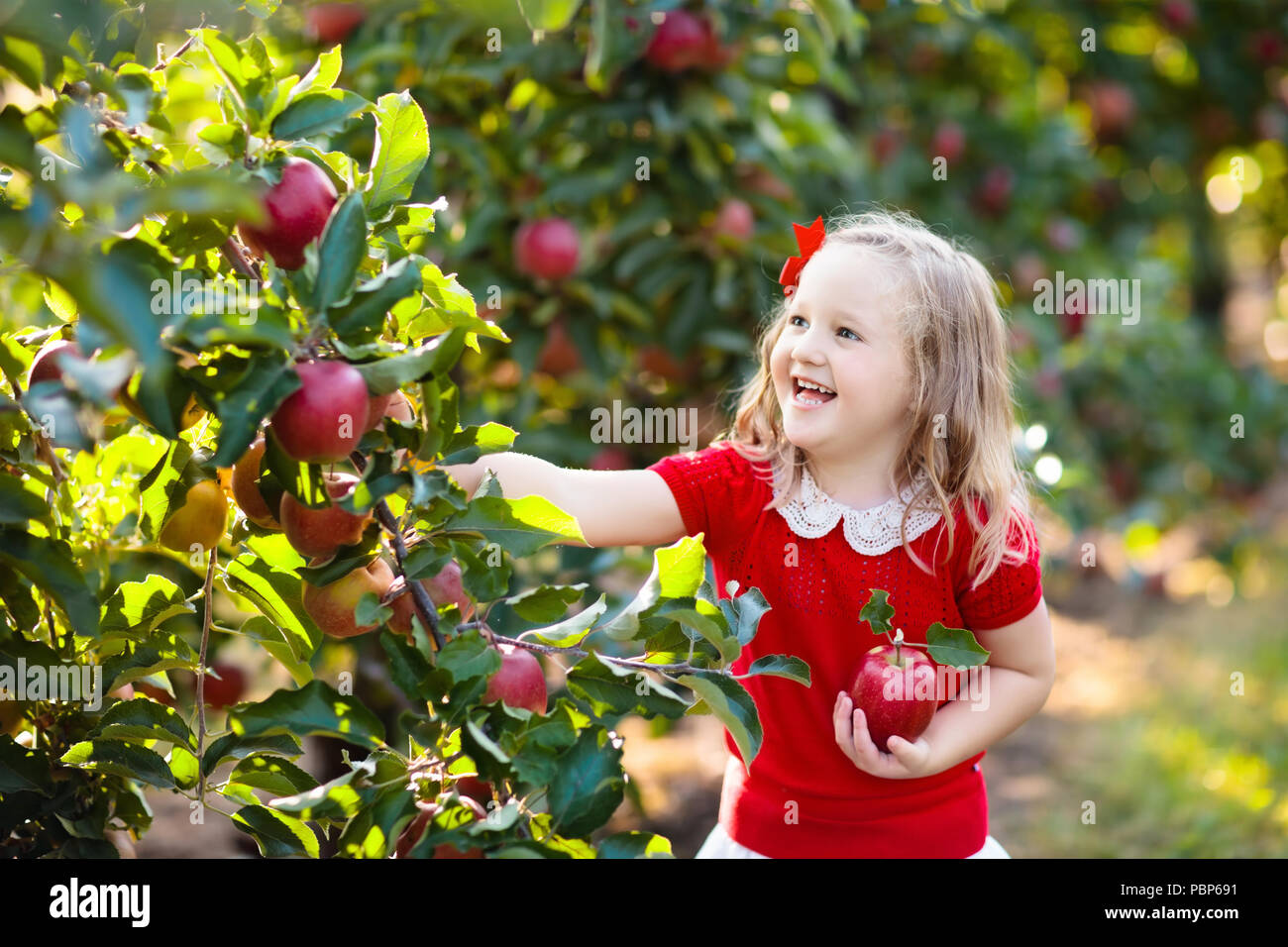 Kids Apple Picking