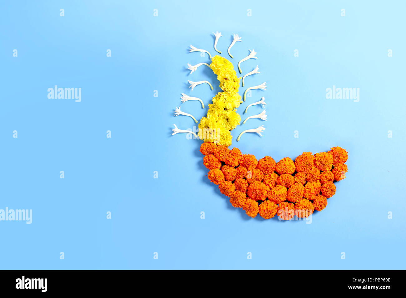 marigold flower design Stock Photo - Alamy