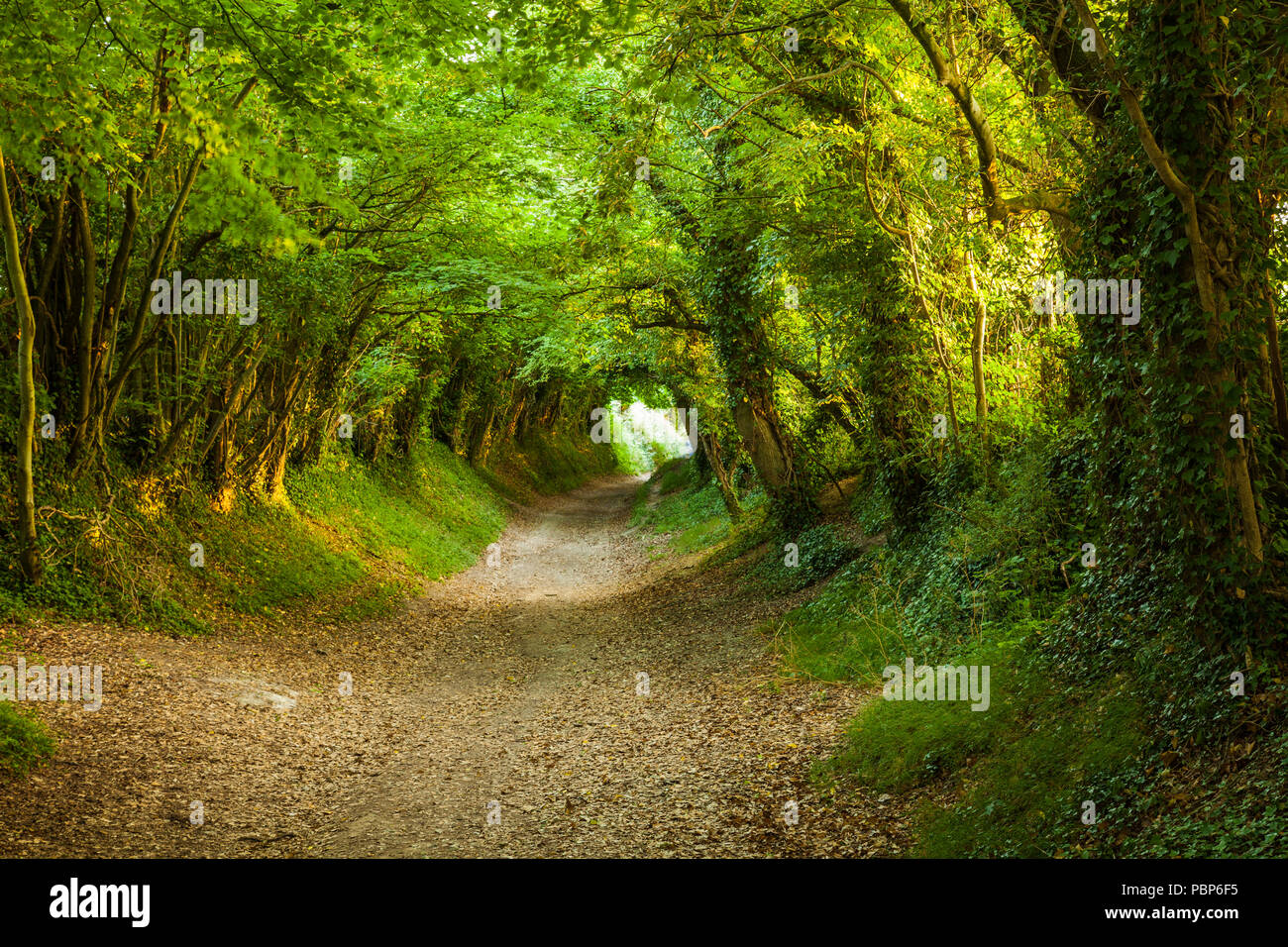 Halnaker landscape hi-res stock photography and images - Alamy