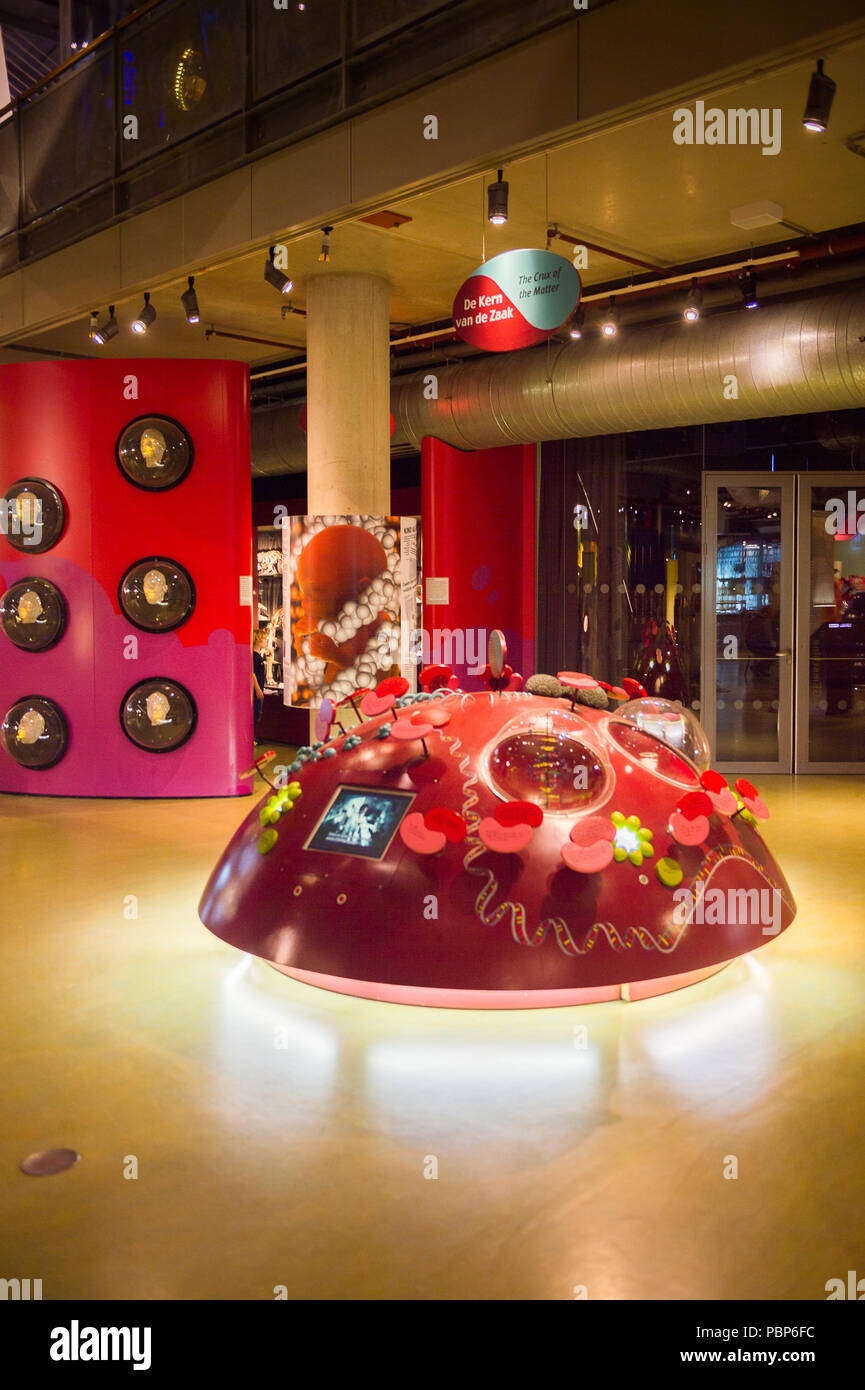 AMSTERDAM, NETHERLANDS - JUN 2, 2015: Interior of the Science Center ...