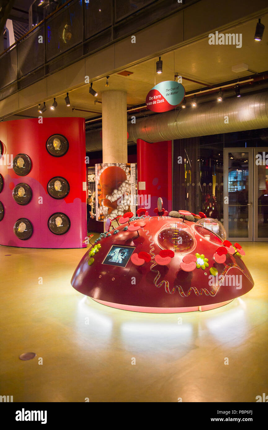 AMSTERDAM, NETHERLANDS - JUN 2, 2015: Interior of the Science Center ...