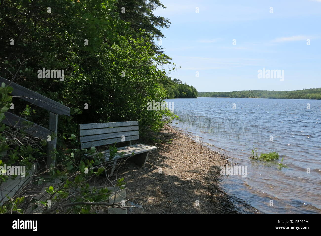Lochiel Lake Provincial Park provides picnic tables in the woods and a ...