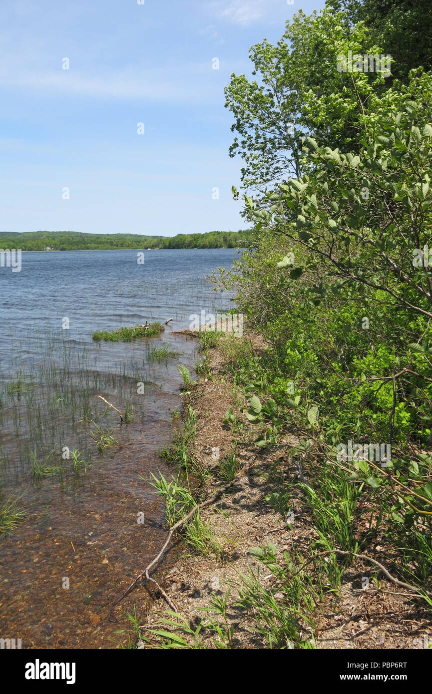 Lochiel Lake Provincial Park provides picnic tables in the woods and a ...