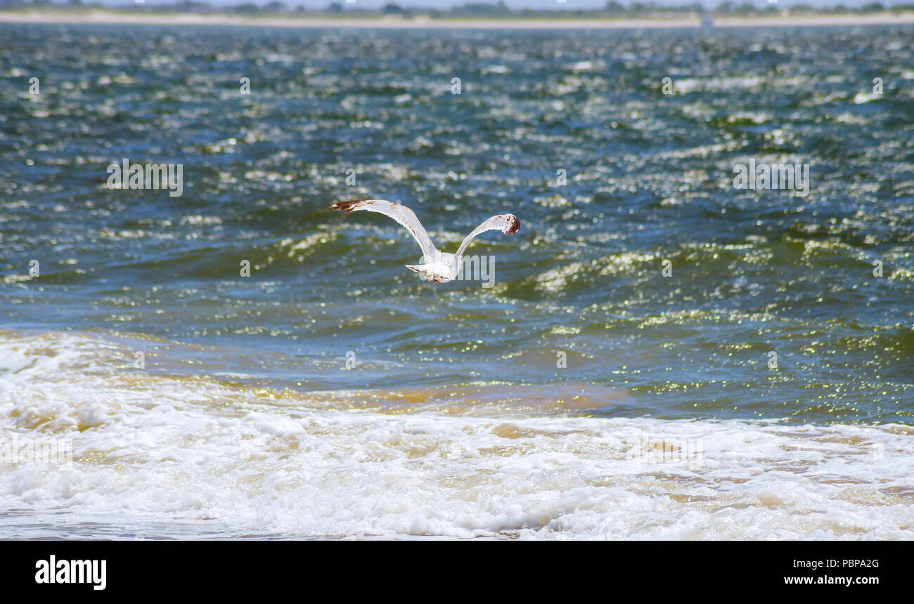 Boundless ocean hi-res stock photography and images - Alamy