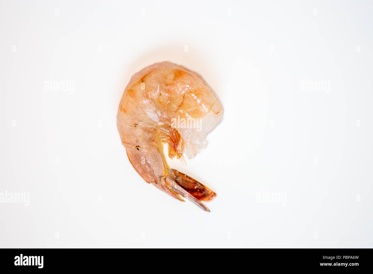 A fresh washed shrimp just rinsed and prepped to be cooked.on the ...