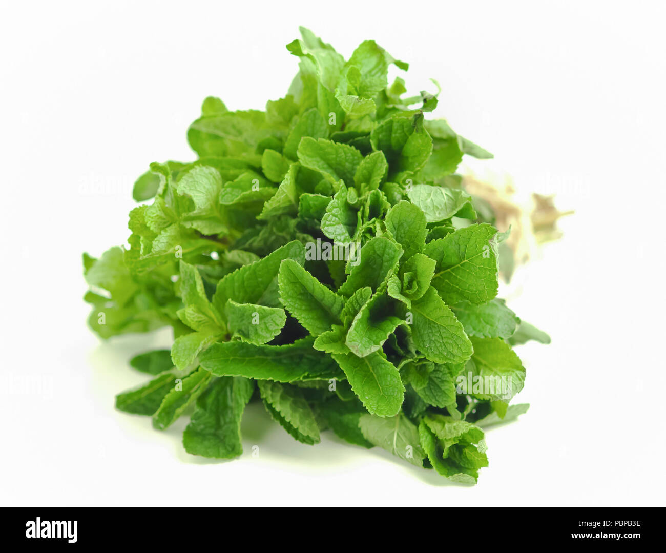 Bunch of mint leaves isolated on white background Stock Photo - Alamy