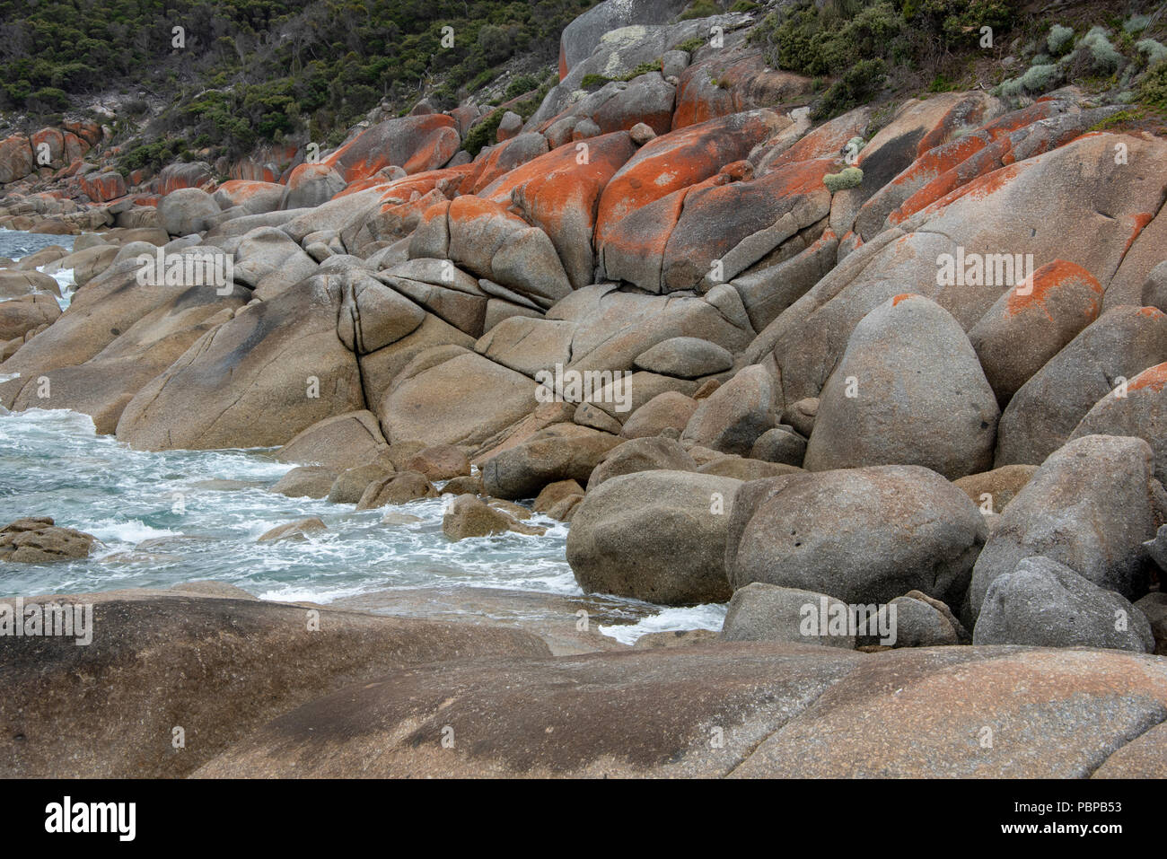 Australiannationalpark hi-res stock photography and images - Alamy