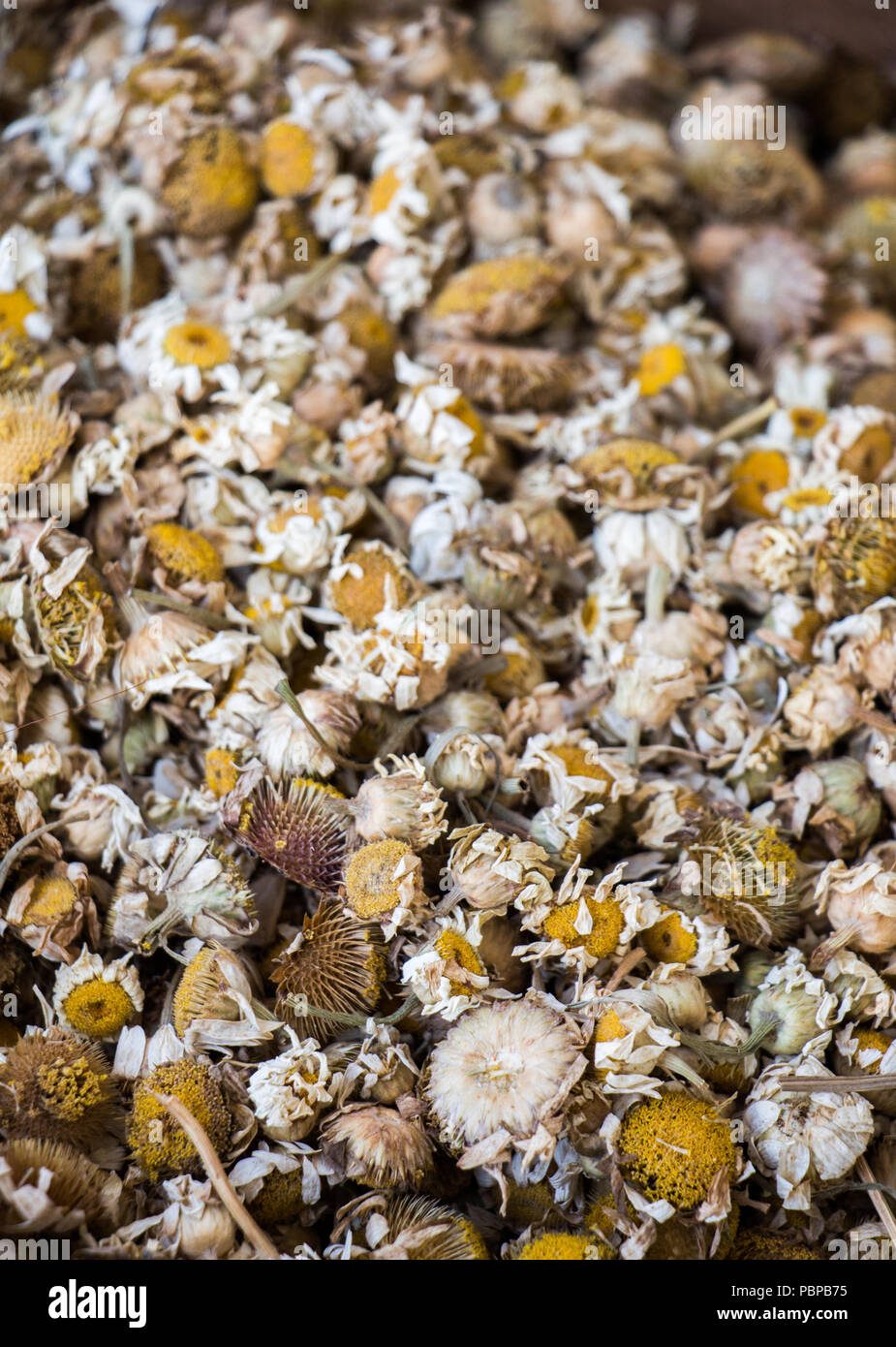 Dry herbal plants as food and remedy Stock Photo - Alamy