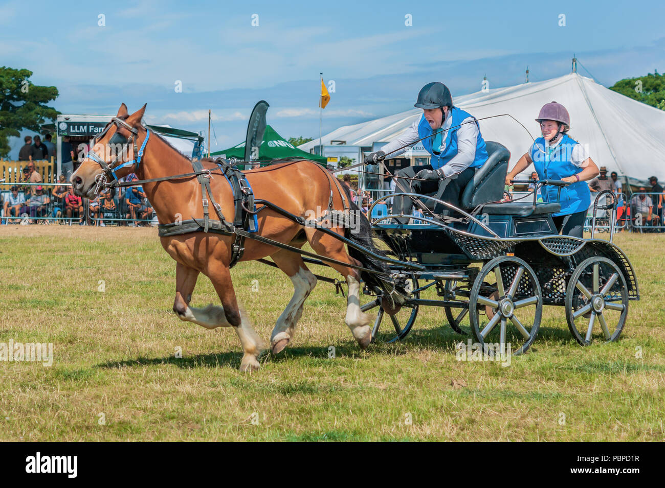 Show trials hi-res stock photography and images - Alamy