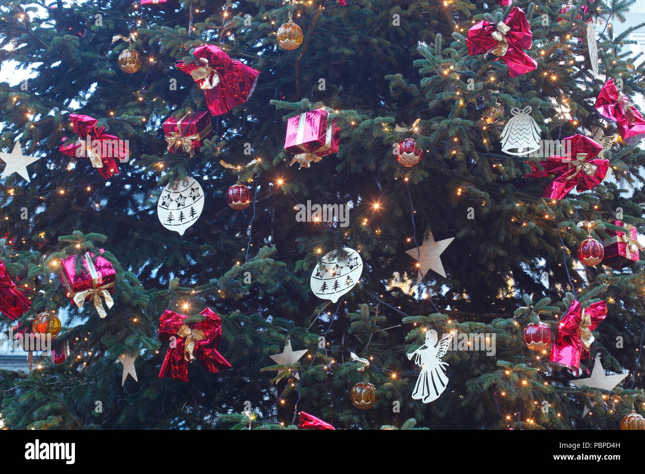 Fir trees i deutschland hi-res stock photography and images - Alamy