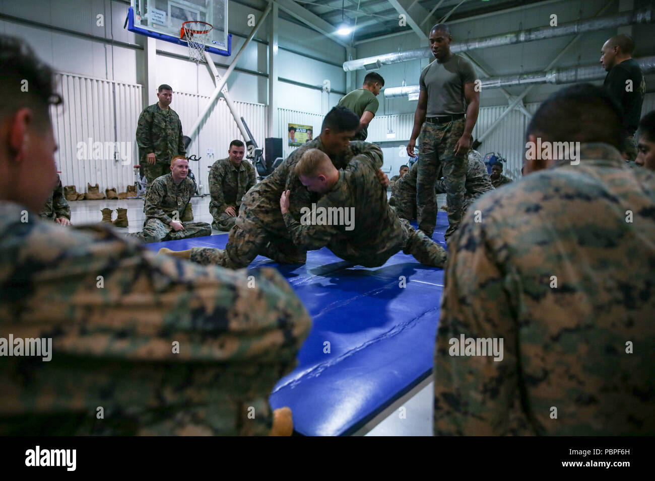 U.S. Marines with Black Sea Rotational Force 18.1 participate in ...