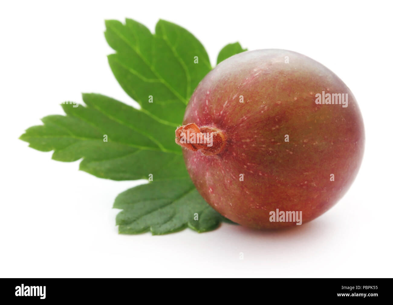 Fresh ripe gooseberry over white background Stock Photo - Alamy