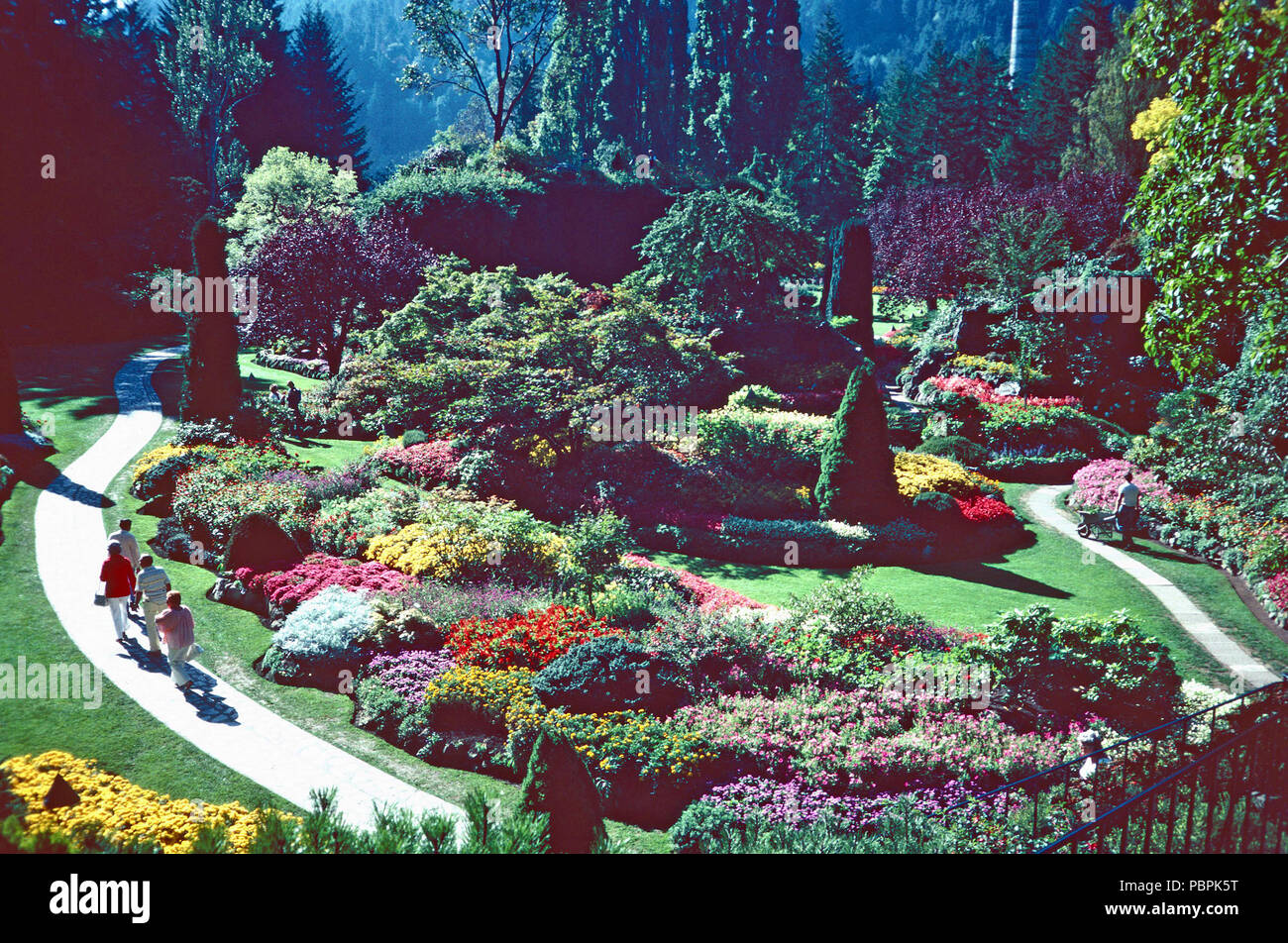 Sunken Garden,Butchart Gardens,Victoria,British Columbia Stock Photo ...