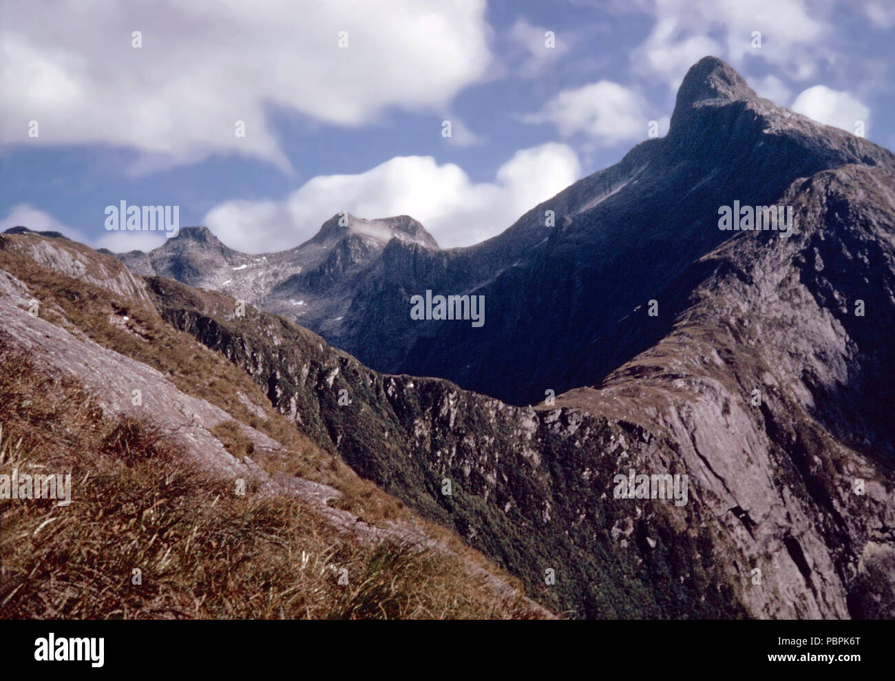 MacKinnon Pass,Milford Track,New Zealand Stock Photo - Alamy