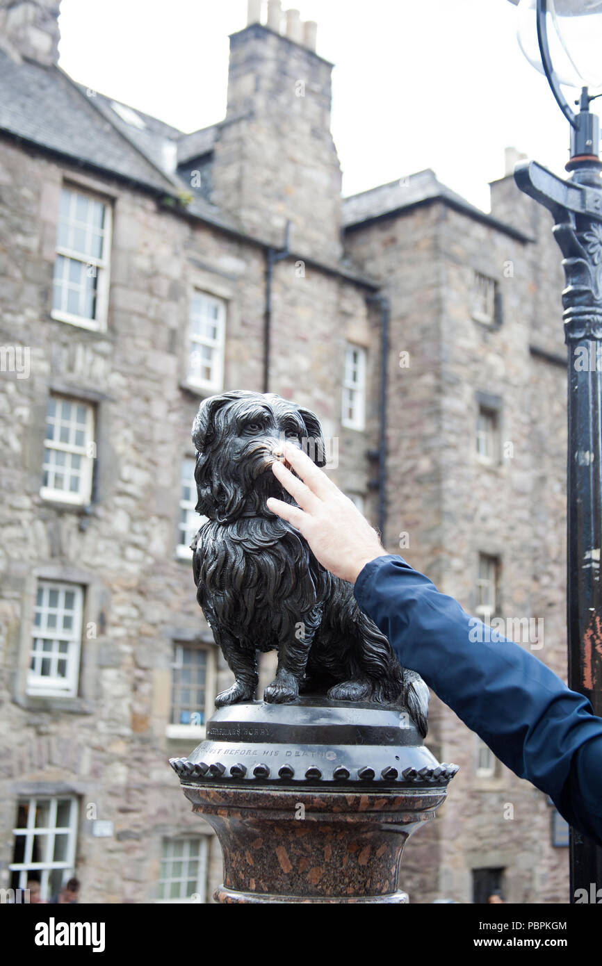 Tourist touching Greyfriars Bobby Statue, Edinburgh, Scotland to bring ...