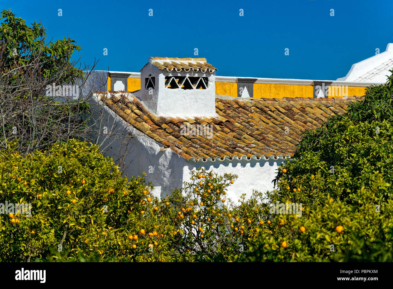 Chimneys house hi-res stock photography and images - Alamy