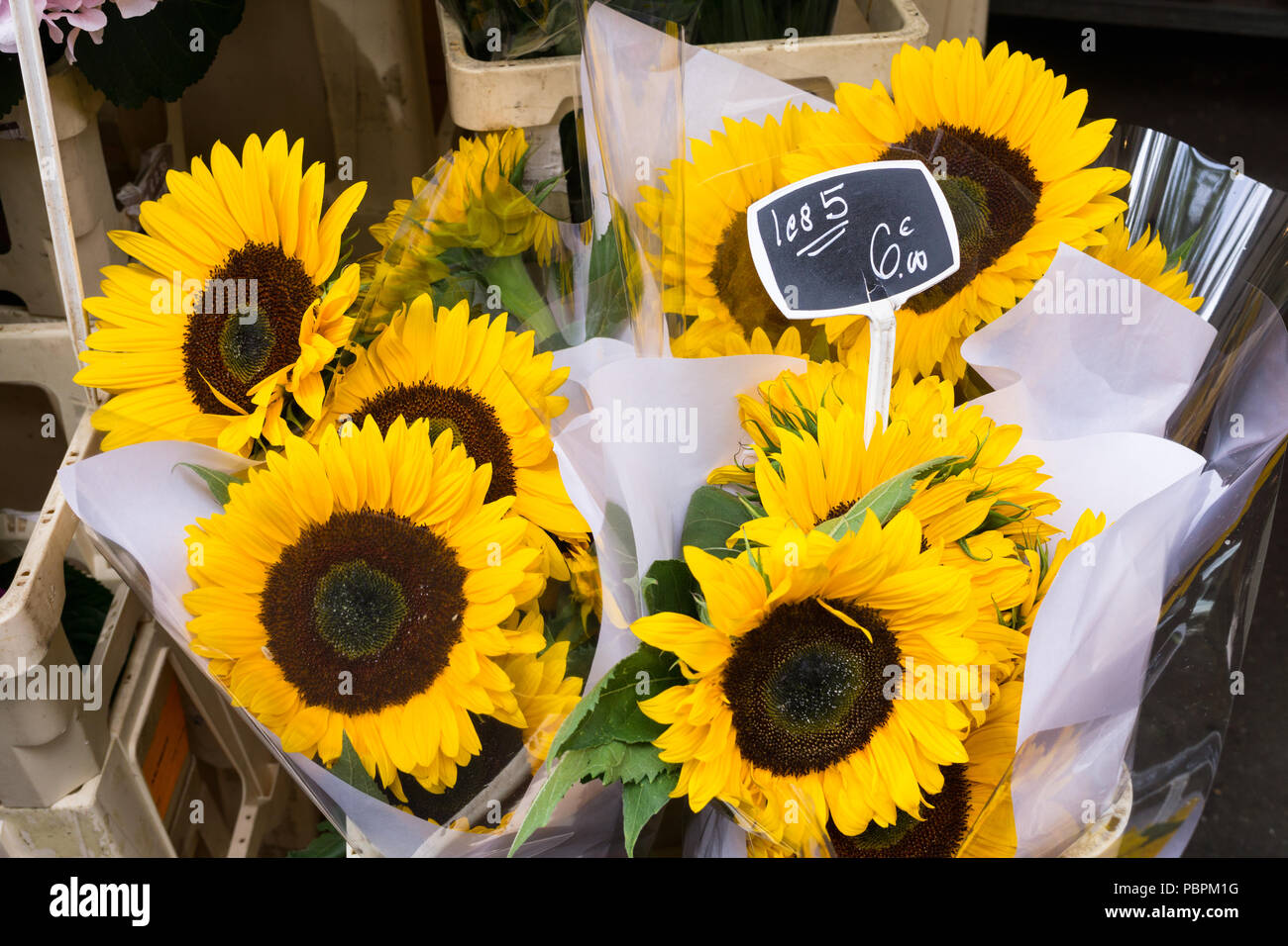Sunflowers on sale - Close up of sunflowers (Helianthus annuus) sold in ...