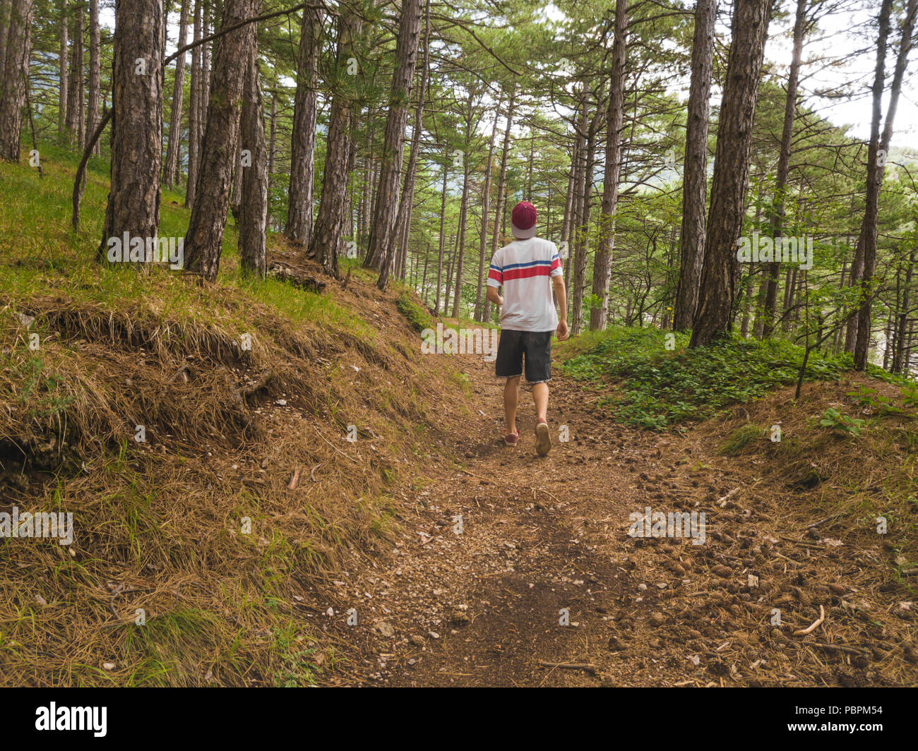young lonely man walking and lost in the forest, scary and confused ...