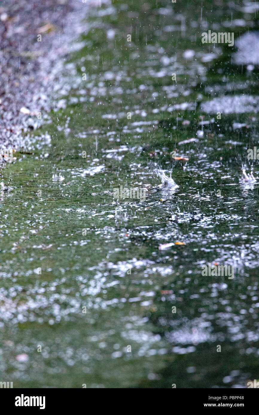 North Wales, UK Weather: The first real sustained rainfall for many ...