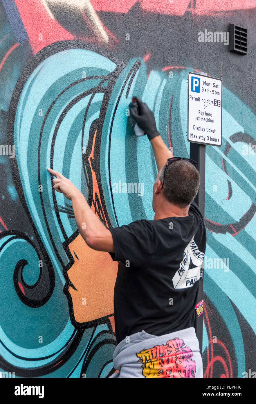 Inkie working on his wall mural at the 10th anniversary of UPFest, the ...