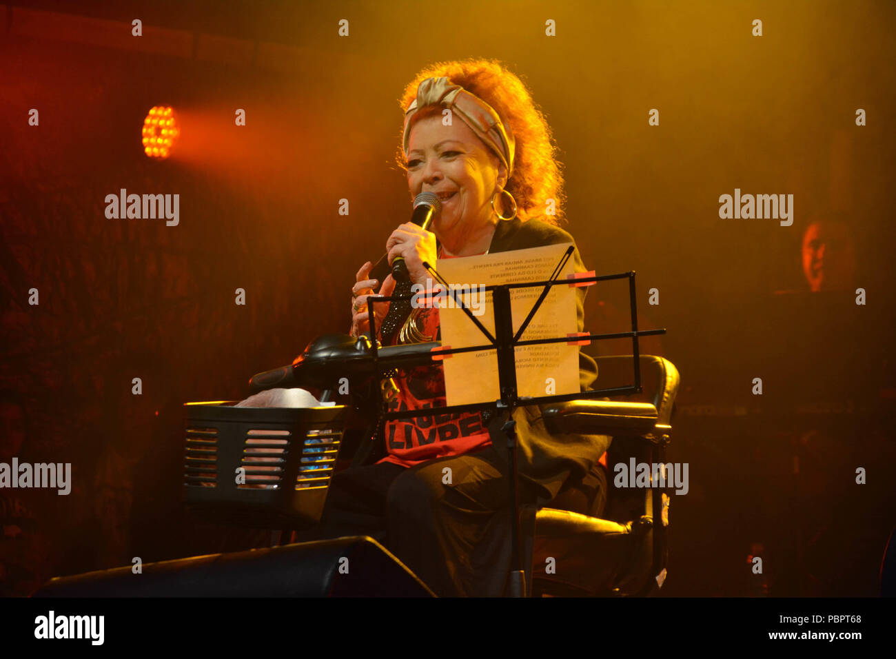 Rio De Janeiro, Brazil. 28th July, 2018. the samba artist Beth Carvalho ...