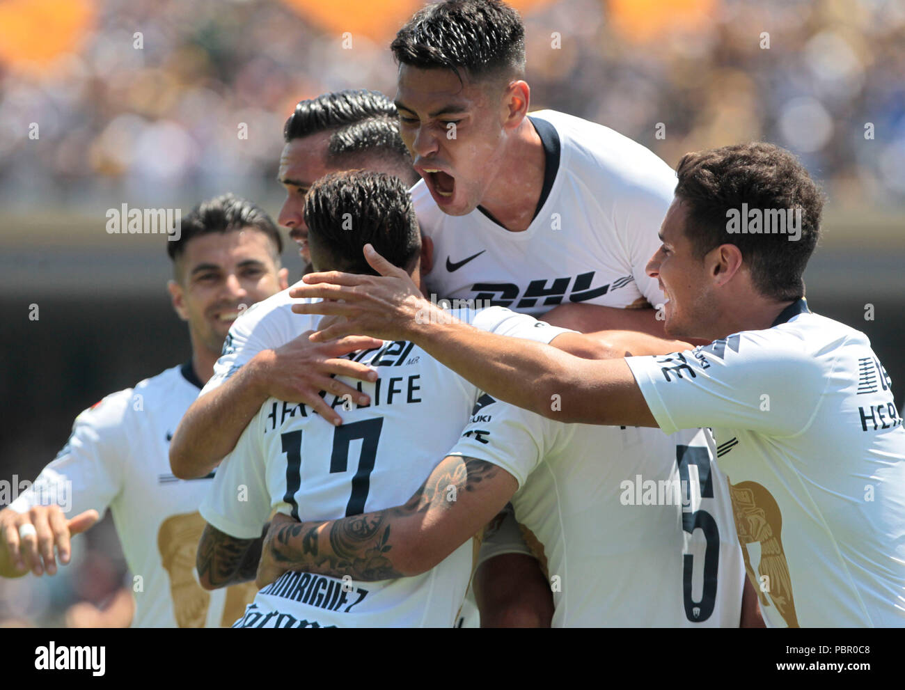 Of Necaxa Stock Photos & Of Necaxa Stock Images - Alamy