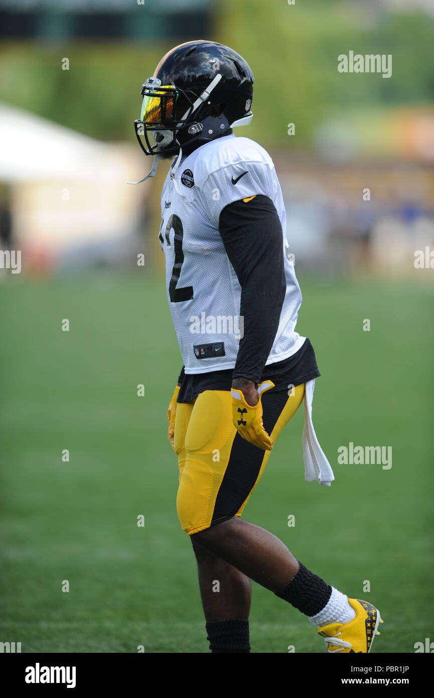 July 28th, 2018: Steelers Stevan Ridley #22 during the Pittsburgh ...
