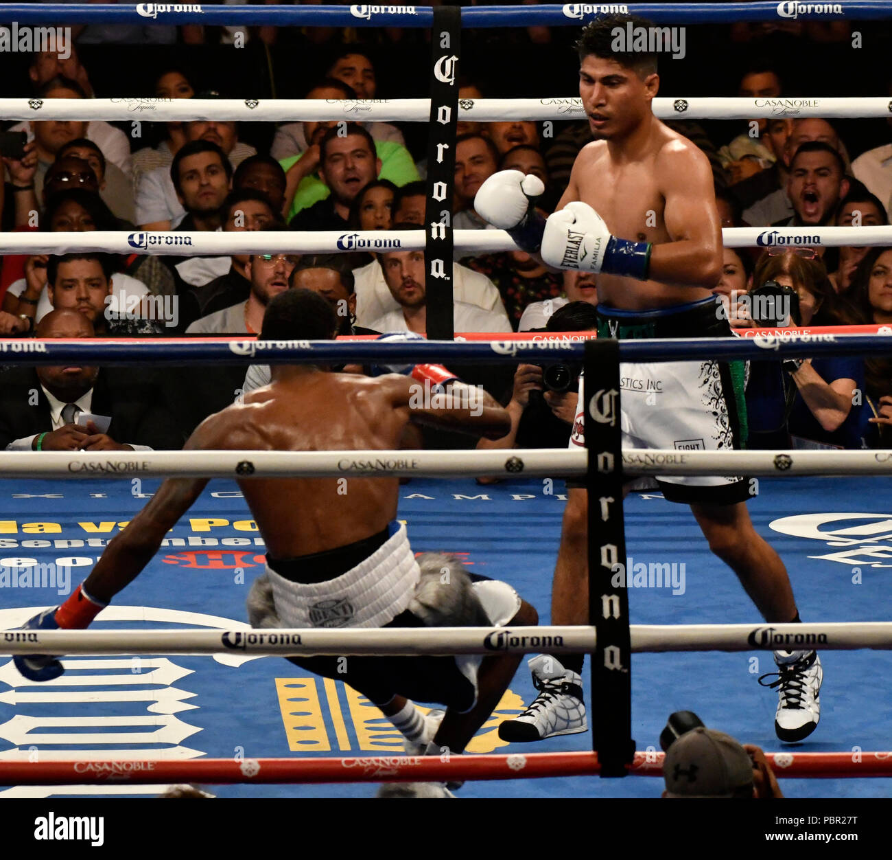 Robert easter jr title bout championship boxing pc game - pilotpolre