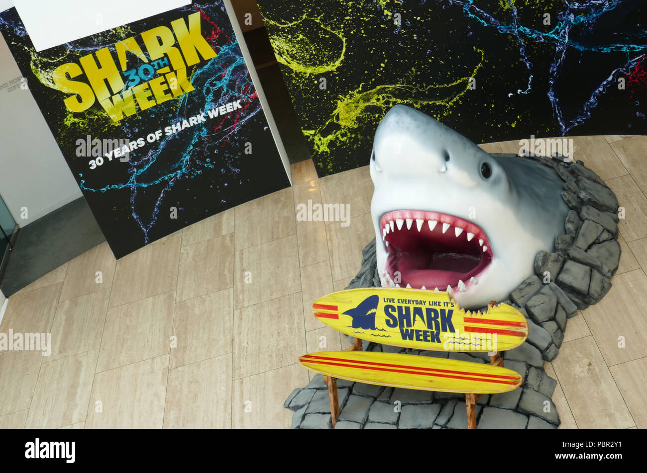 Shark Week Background