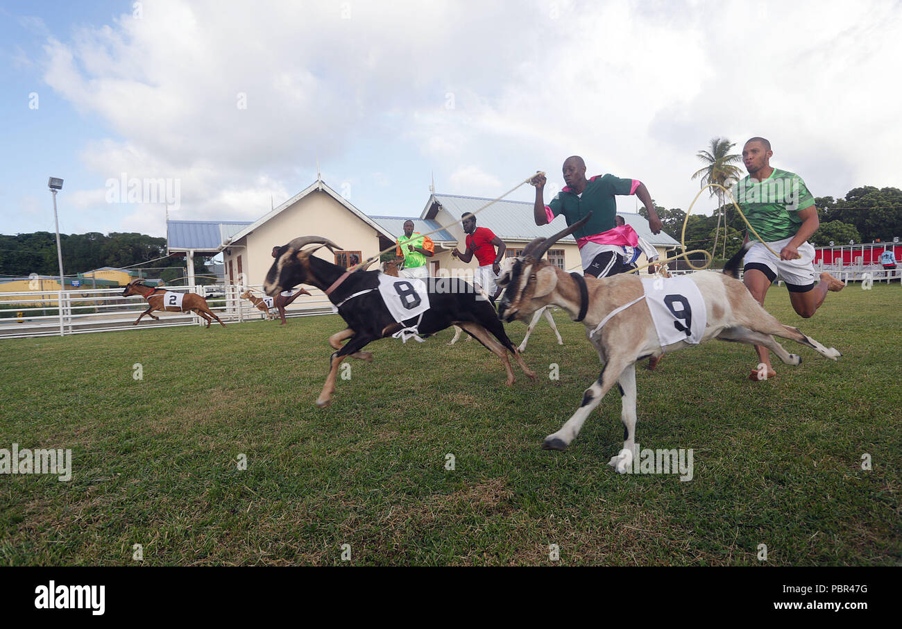 Tobago Heritage Festival Stock Photos & Tobago Heritage Festival Stock ...