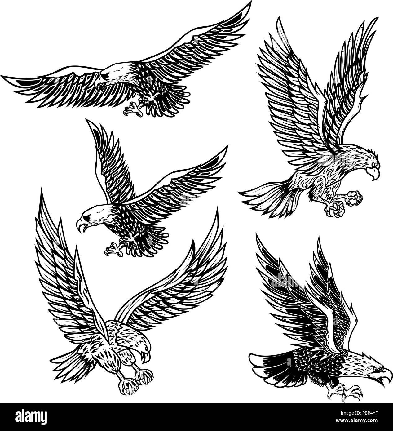 Set of eagles illustrations. Design element for logo, label, emblem ...