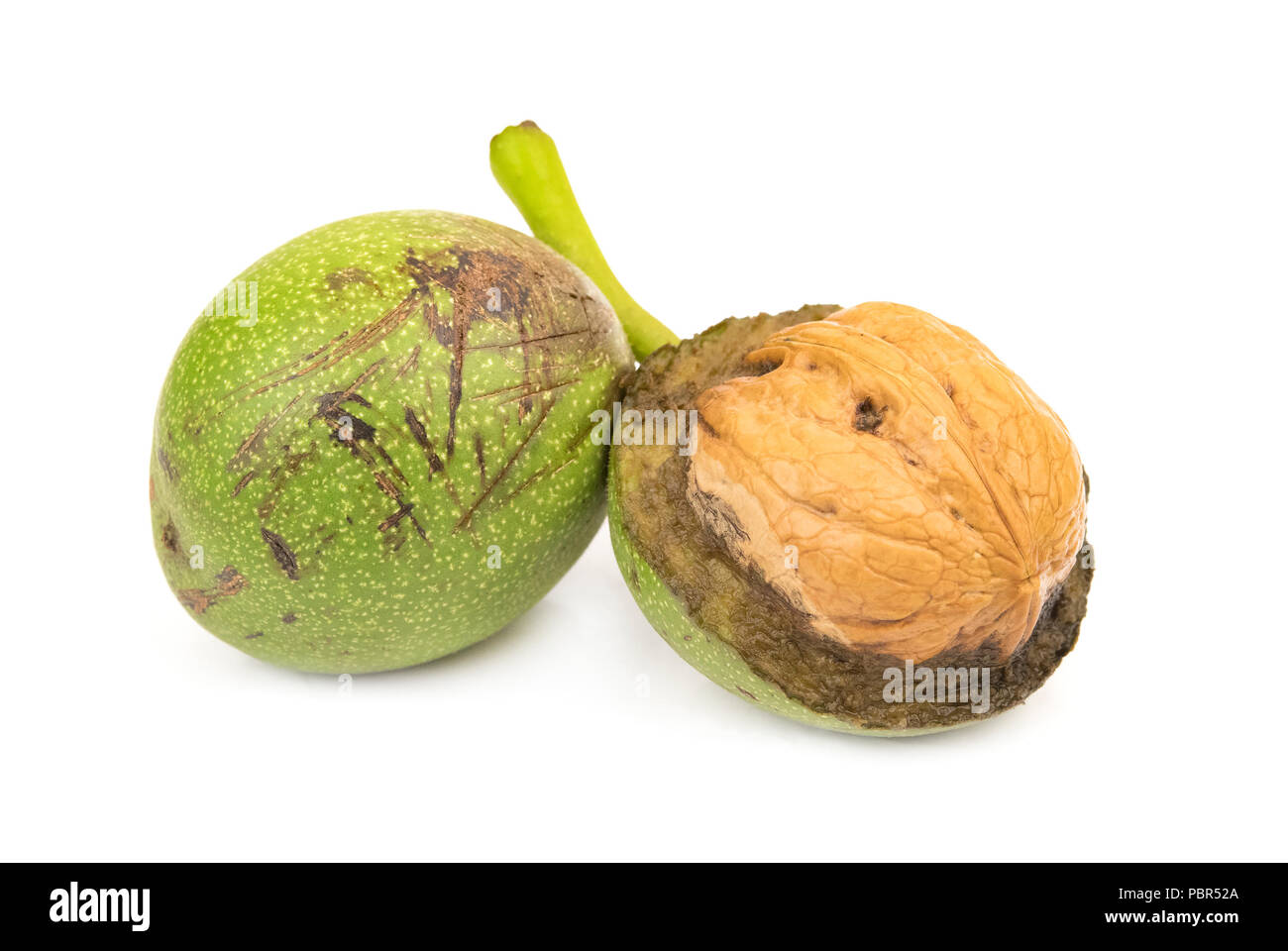 Walnut on branch cracked green hi-res stock photography and images - Alamy