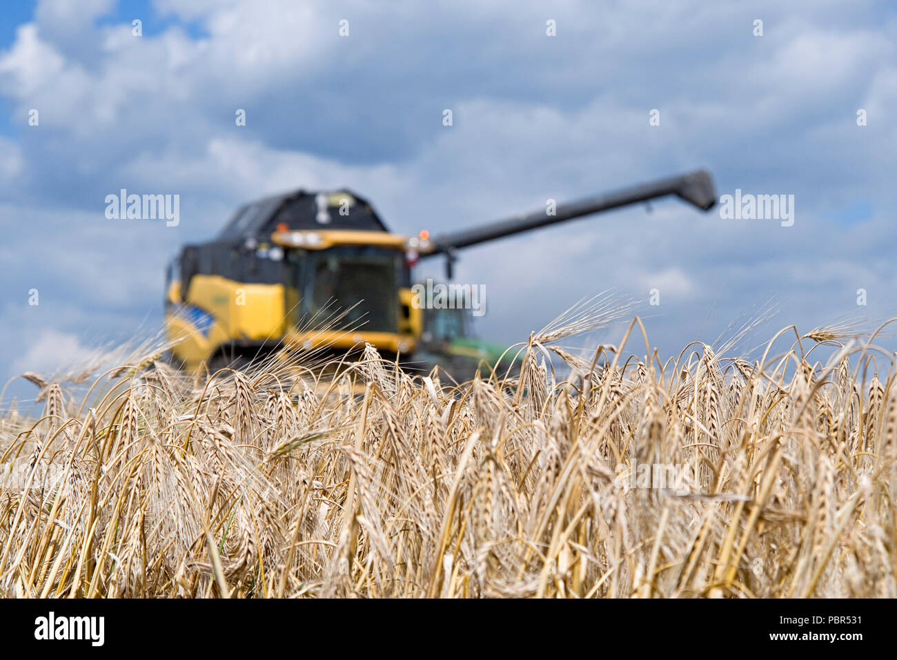 Harvester machine to harvest wheat field working. Combine harvester ...