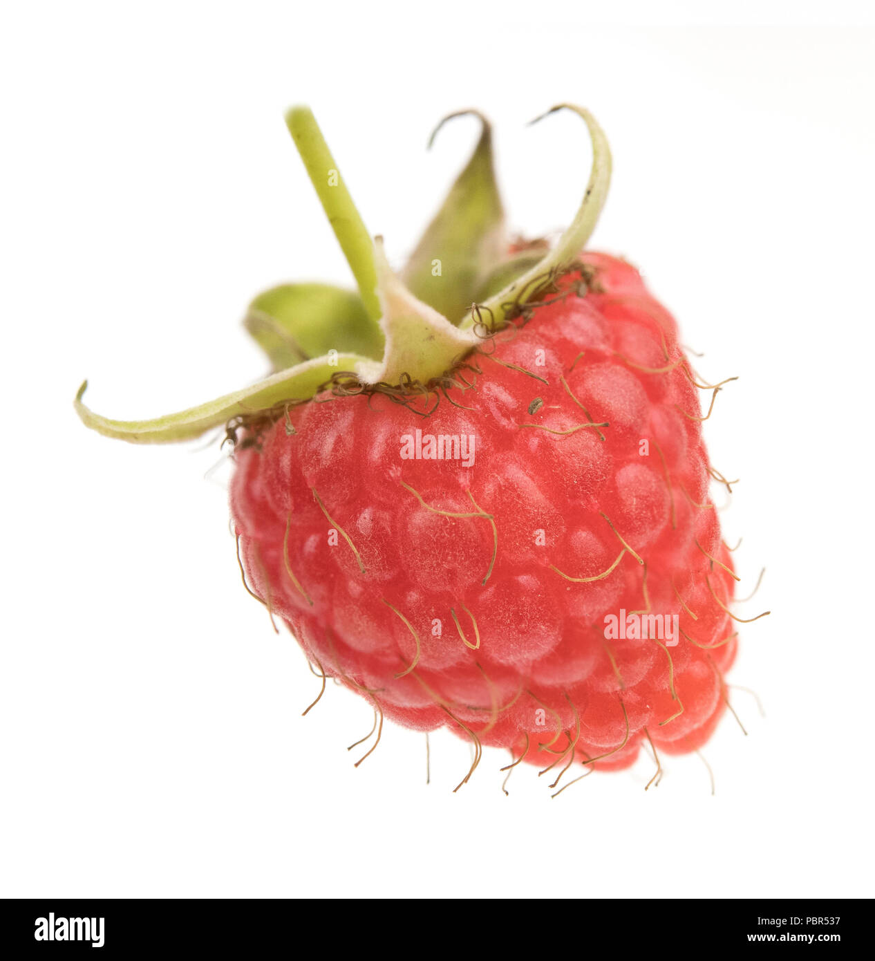 ripe raspberry isolated on white background Stock Photo - Alamy