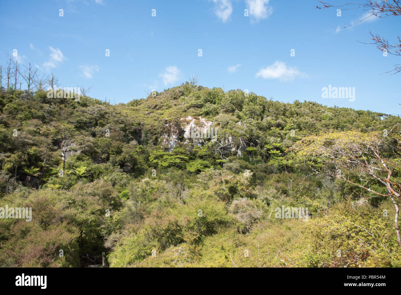 Stunning mountain greenery at Orakei Korako geothermal area in Rotorua ...