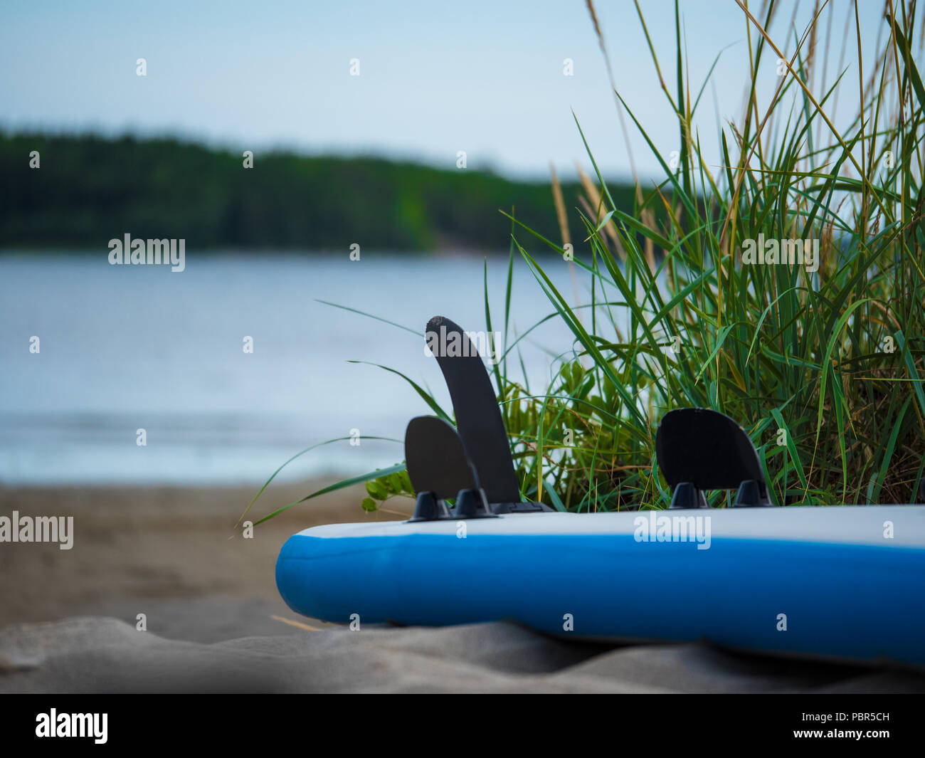 Paddle board on the beach Stock Photo - Alamy
