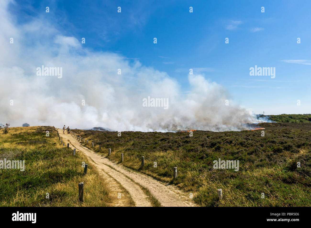 Burning for conservation hi-res stock photography and images - Alamy
