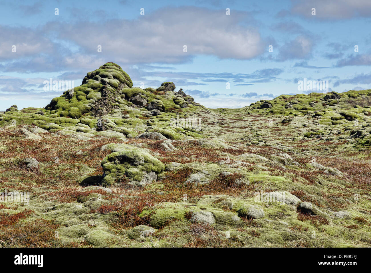Moss covered ancient lava field at Skaftareldahraun, South Iceland ...