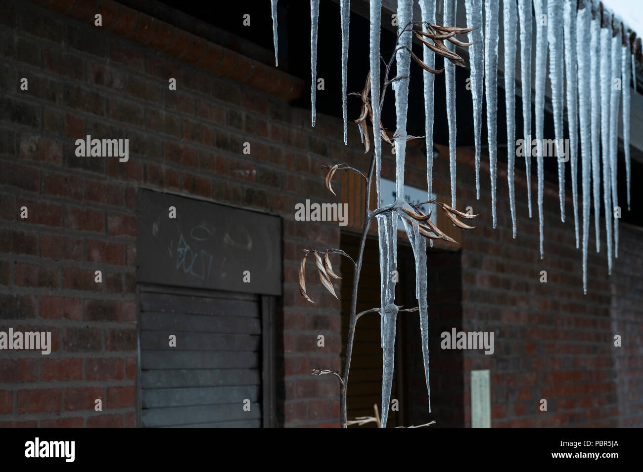 Basingstoke snow hi-res stock photography and images - Alamy