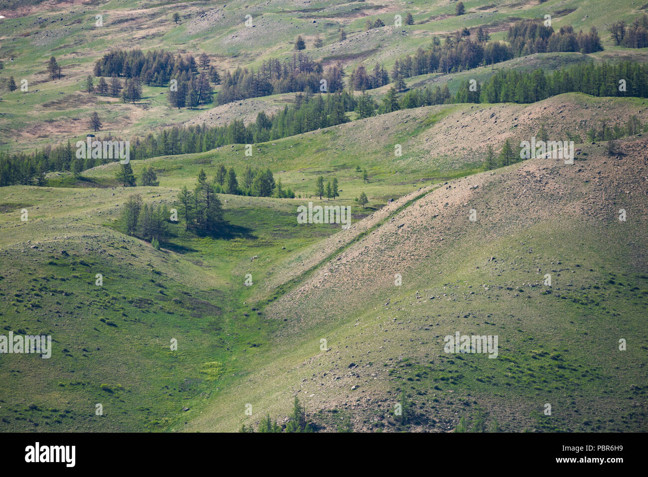 Mountainous terrain of different heights, covered with green grass and ...