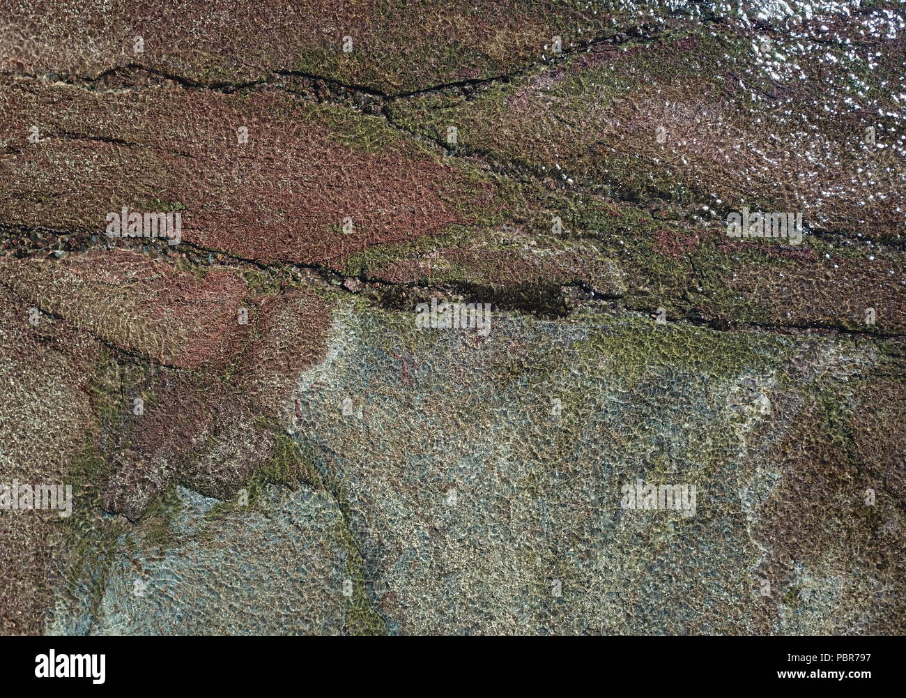 Aerial top view of beautiful low tide at Long Reef Head (Sydney ...